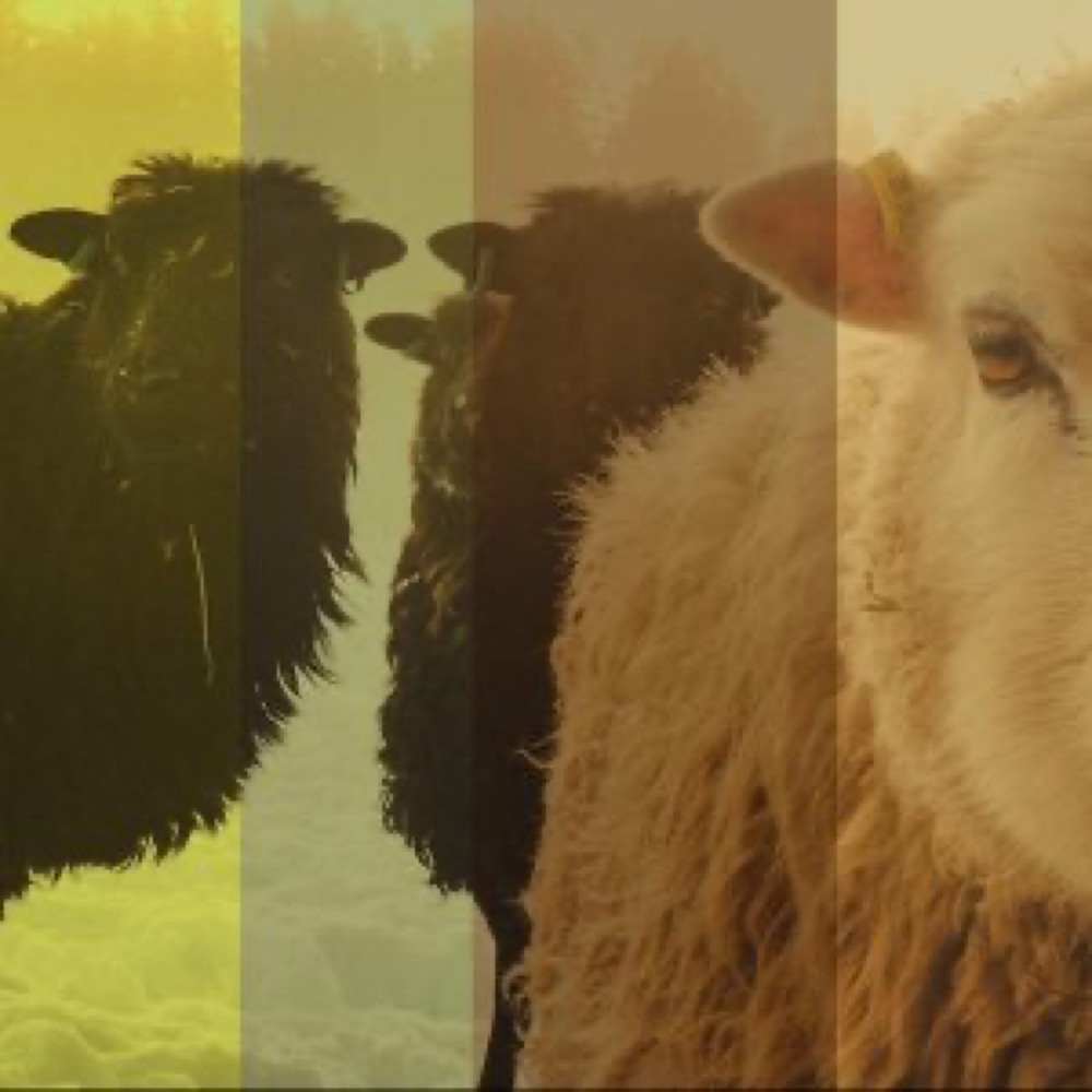 Connecting Nature Agriculture Sector Guide Launched to help financial ...